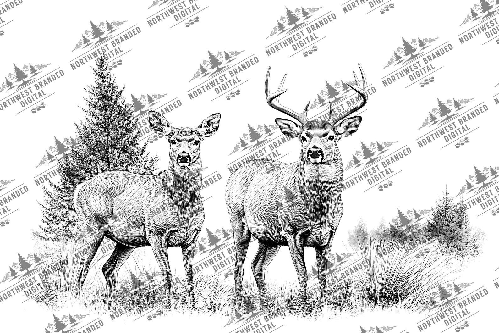 Whitetail Buck and Doe Laser Engraving File, Deer Pair Wildlife Art ...