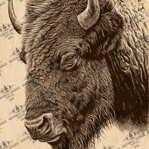 Bison Head Laser Engraving File, Buffalo Portrait Wildlife Art PNG ...