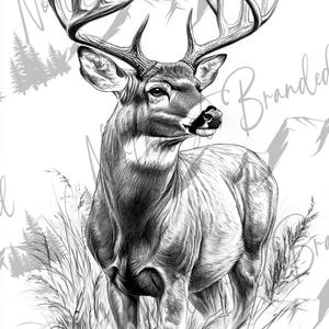 White Tail Buck Laser Engraving, Wildlife Deer Art, Nature Hunting PNG ...