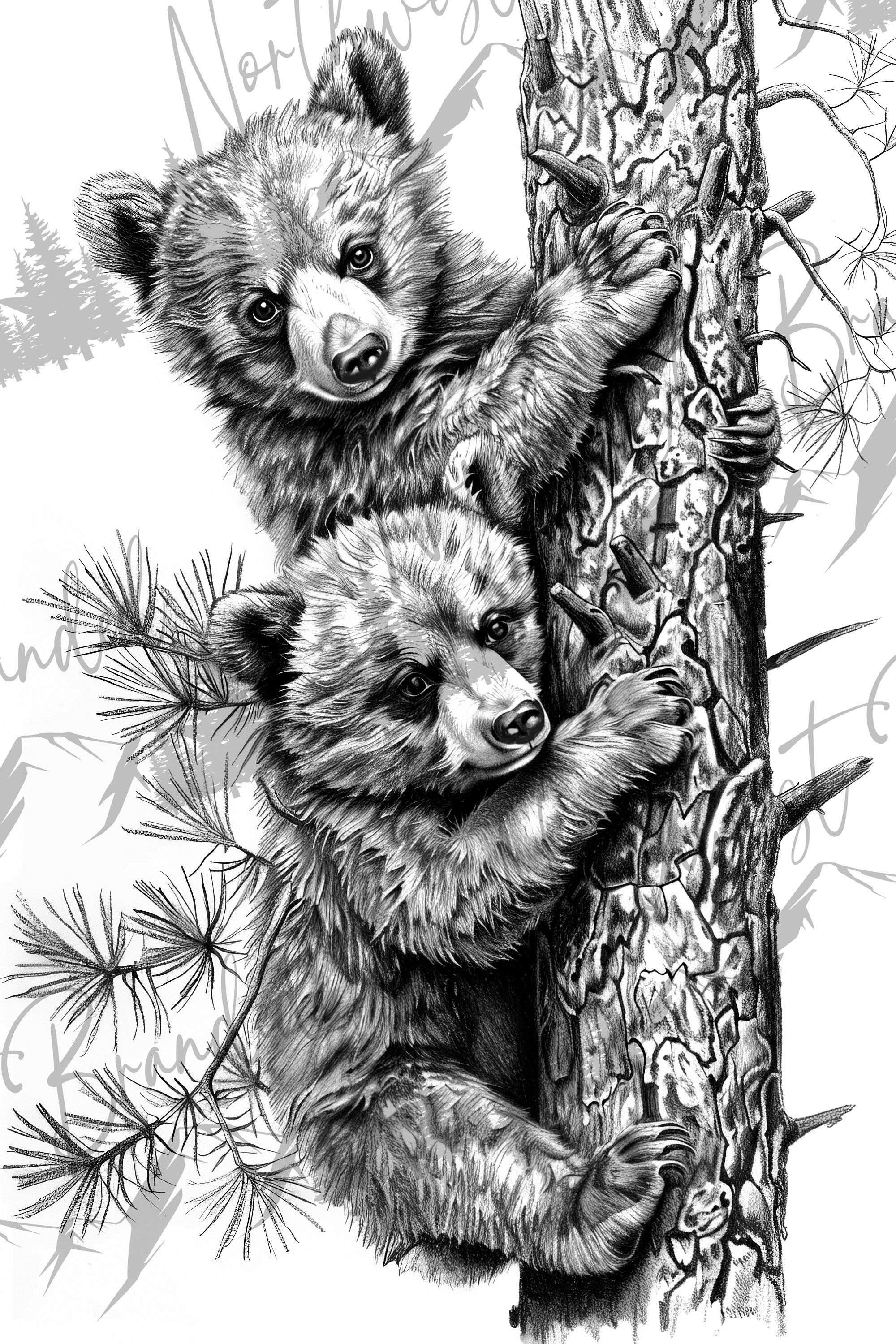 Laser Burn PNG Bear Cubs Engrave Laser Ready Digital Design File Black ...