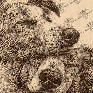 Border Collie Laser Engrave File: Ranch Dog PNG (digital Download) - Etsy