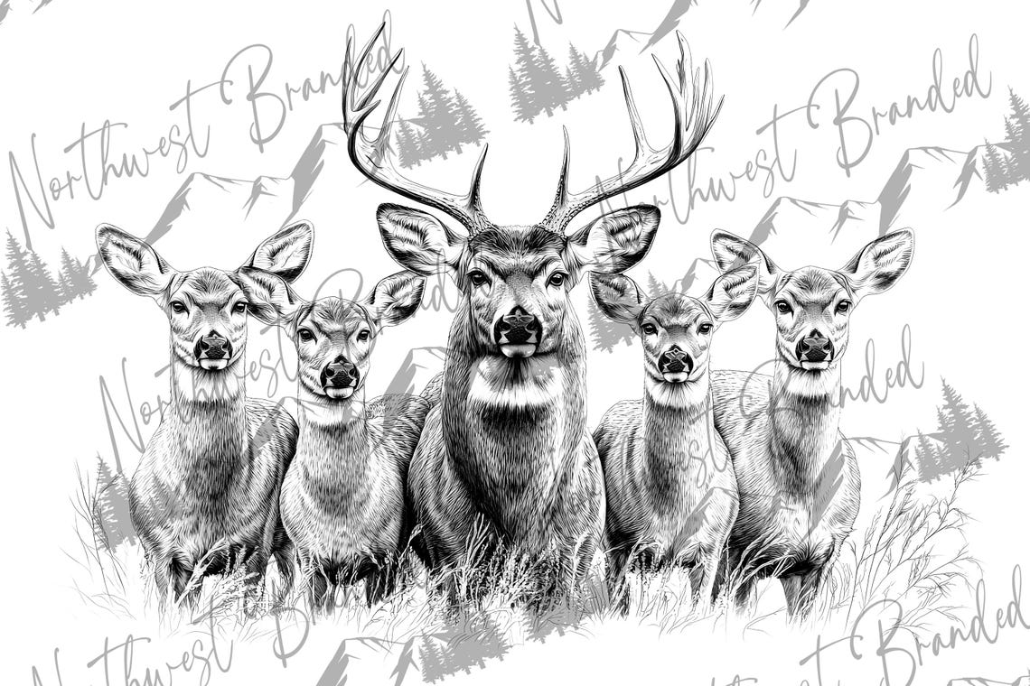 Deer Laser Engraving File: Woodland Wildlife Art (PNG & JPEG) - Etsy