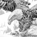 Bald Eagle Catching Fish Laser Engraving File (PNG, JPEG) - Etsy