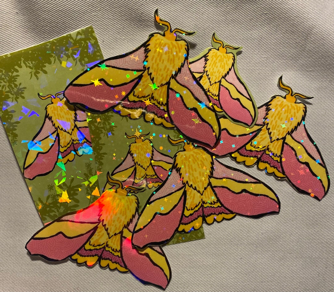 Rosy Maple Moth Sticker - Etsy