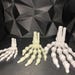 Skeleton Flexi Hand Flexible Articulated - Etsy