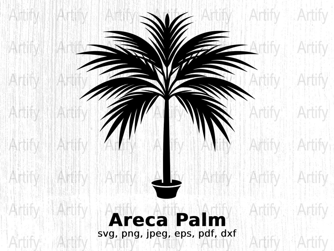 Areca Palm SVG, Areca Palm Vector Cutting Files for Silhouette Cameo ...