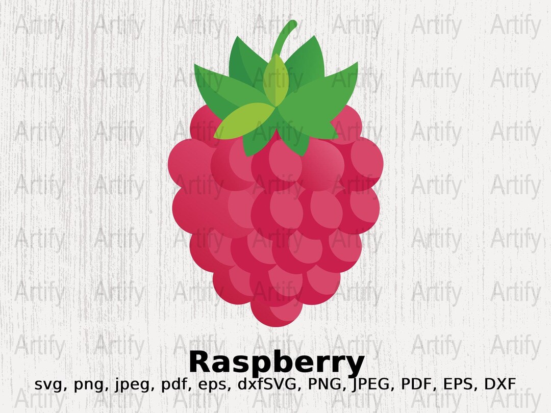 Raspberry Svg, Raspberry Vector Cutting Files for Silhouette Cameo ...