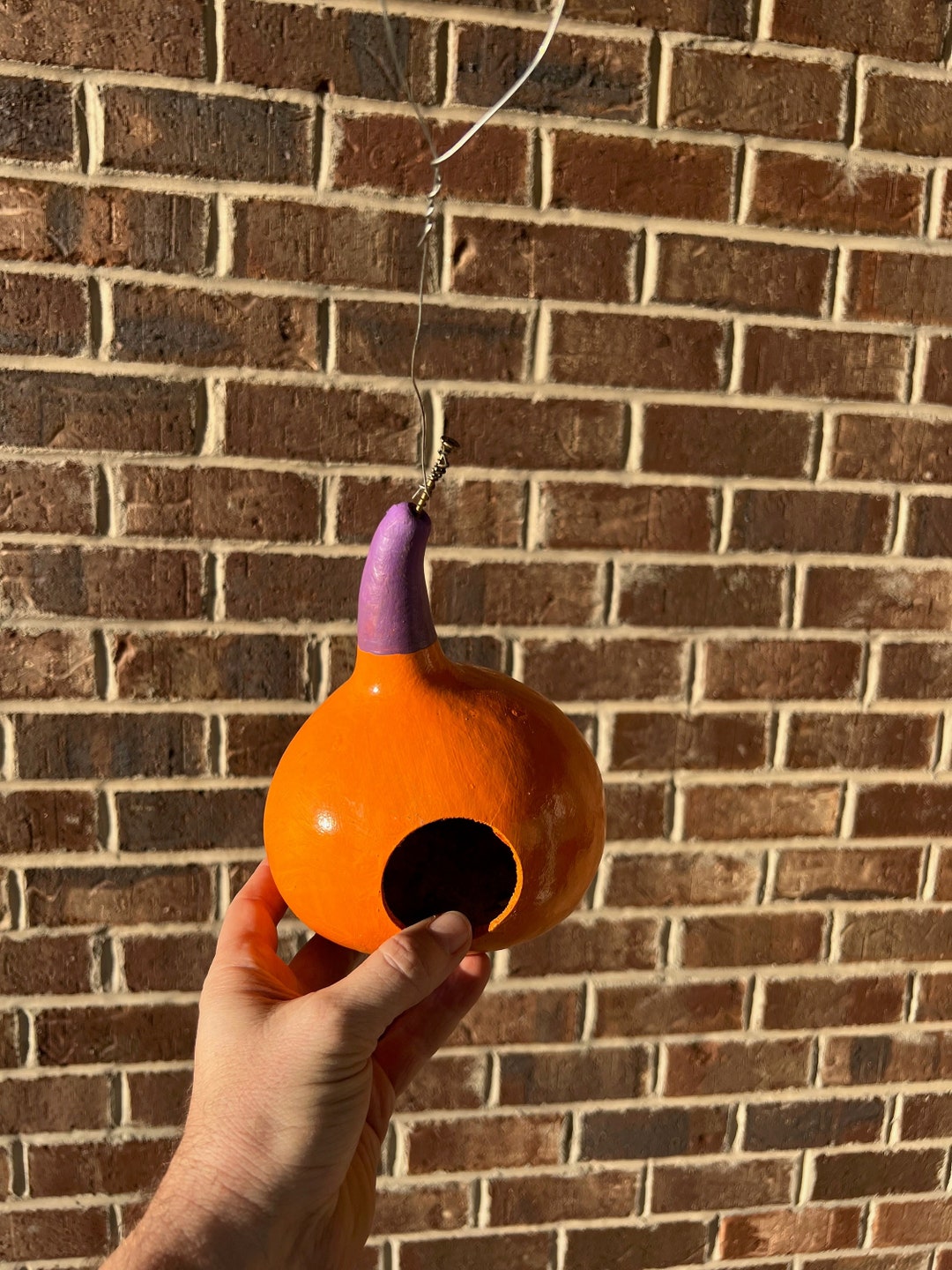 The Clemson Colors Bird House - Etsy