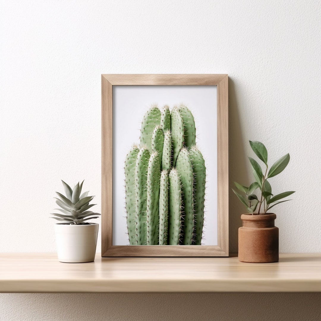 Green Cacti Digital Poster | Spiky Texture | Instant Download | Desert ...