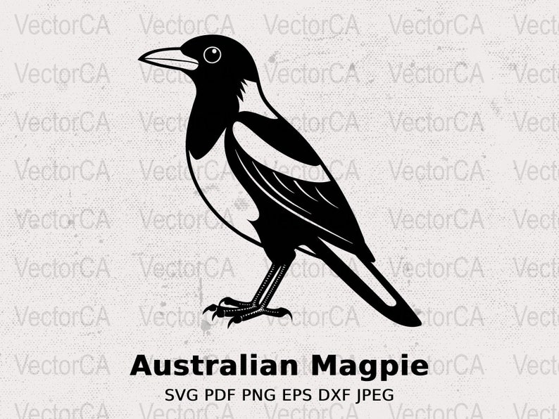 Australian Magpie SVG, Cricut Compatible, Digital Instant Download, Cut ...