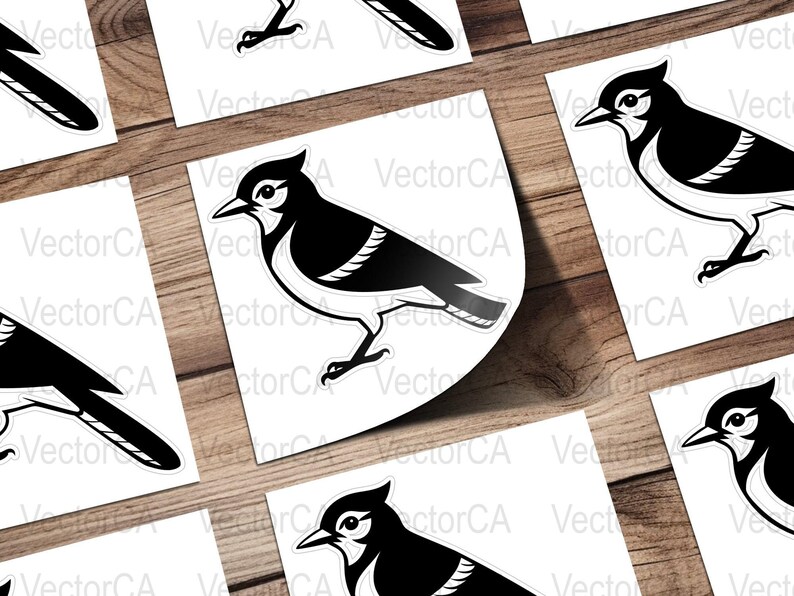 Blue Jay SVG Digital Image PNG, Bird Clipart, Bird Digital Download ...