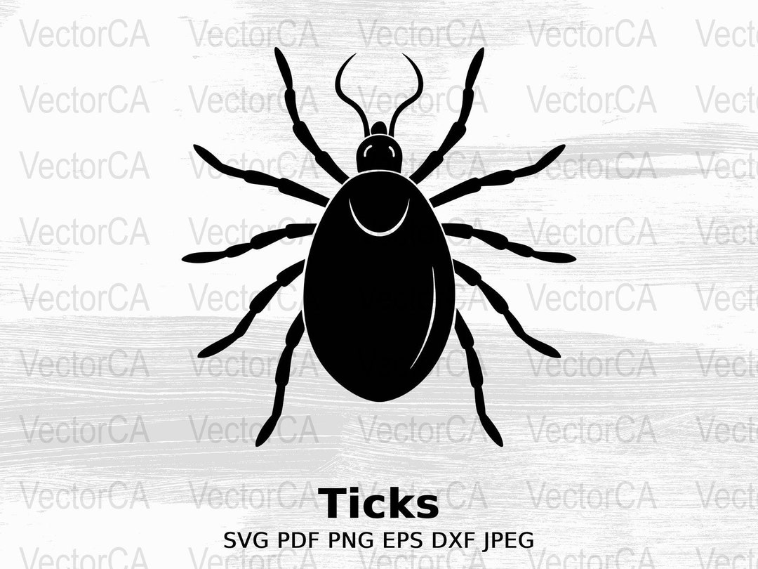 Tick Insect SVG, Digital Cricut Design, Scanncut Image, Instant ...