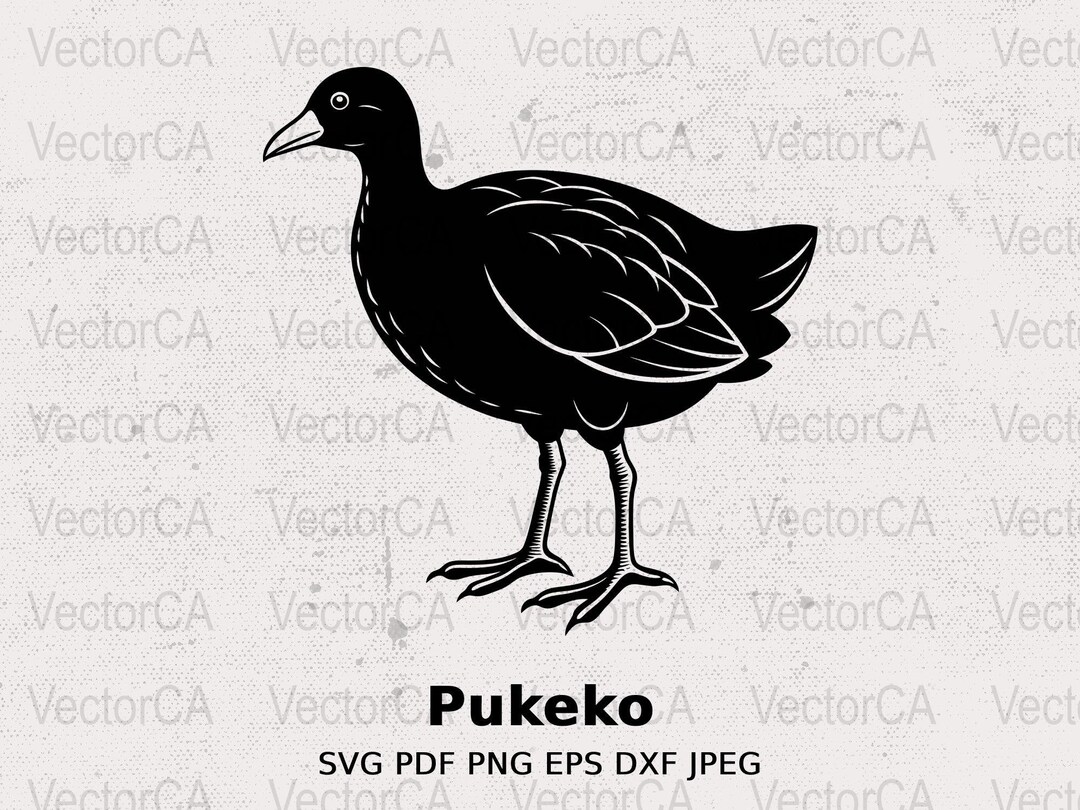 Pukeko Bird SVG Vector File, Cricut Compatible, Digital Instant ...
