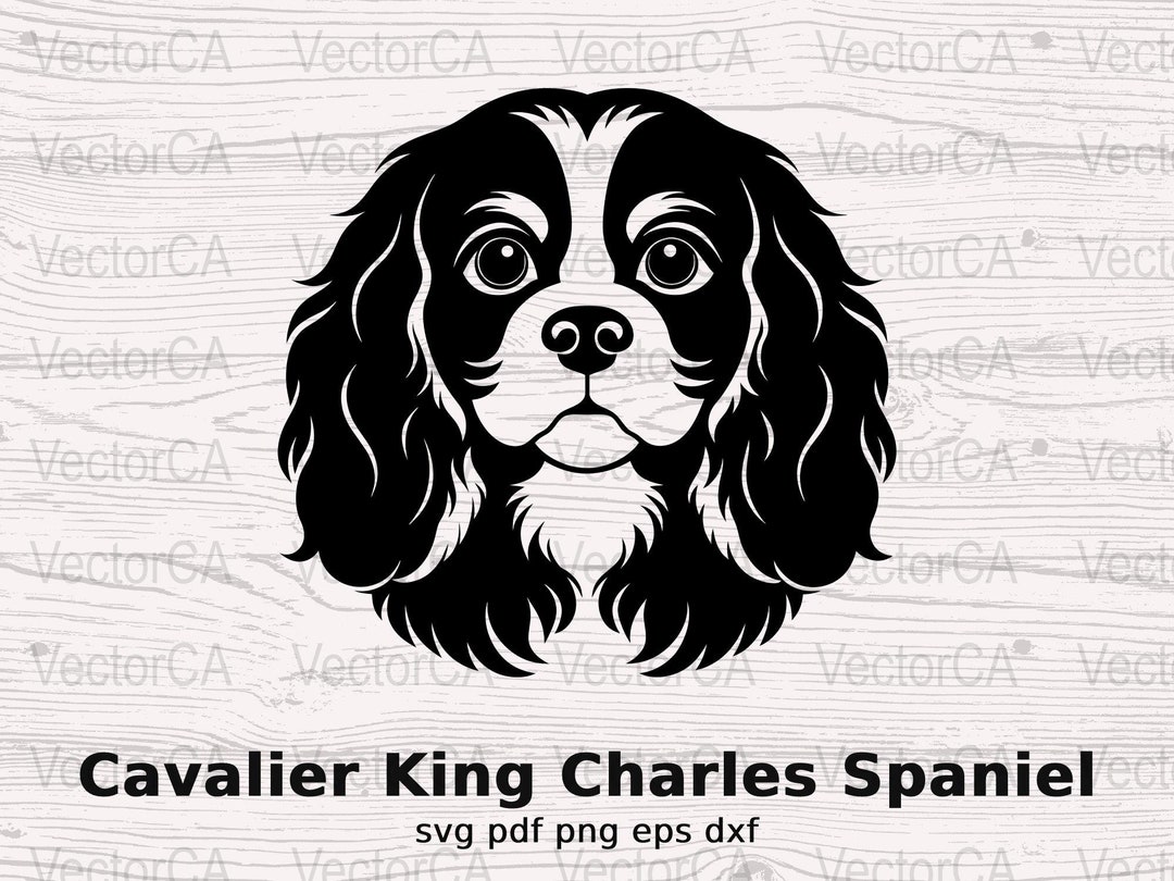 Cavalier King Charles Spaniel SVG PNG, Digital Cricut Design Image, Dog ...