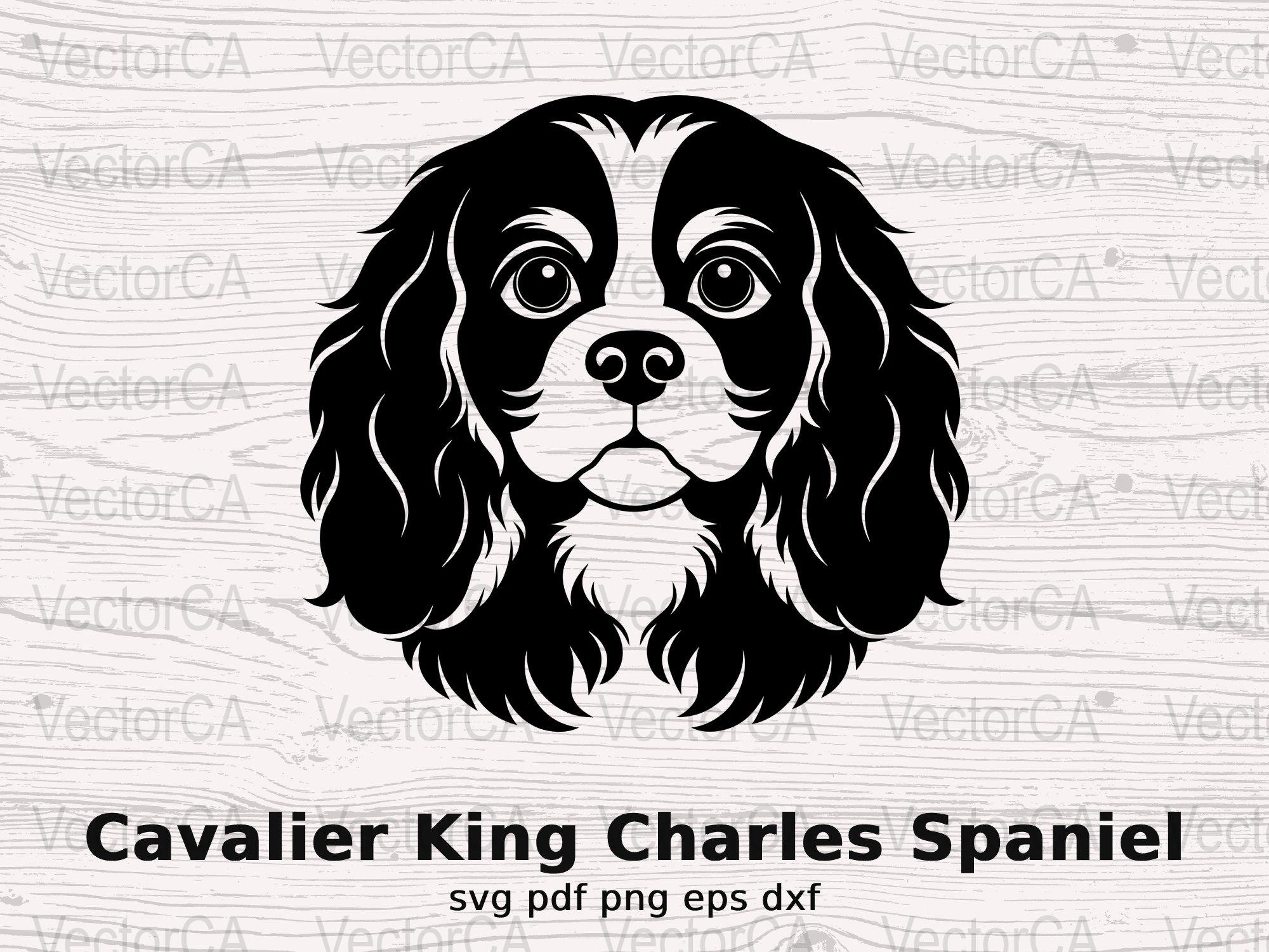 Cavalier King Charles Spaniel SVG PNG, Digital Cricut Design Image, Dog ...