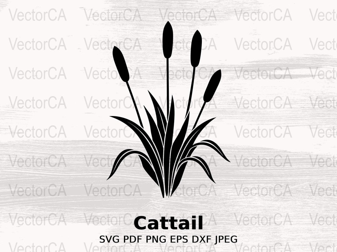 Cattail SVG Digital Instant Vector Download, Nature Graphic, SVG Cut ...