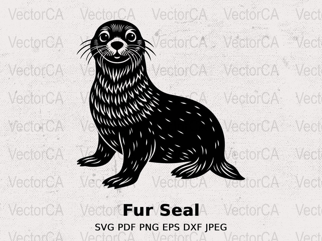Fur Seal SVG Vector Cut File, Cricut Ready, Digital Instant Download ...