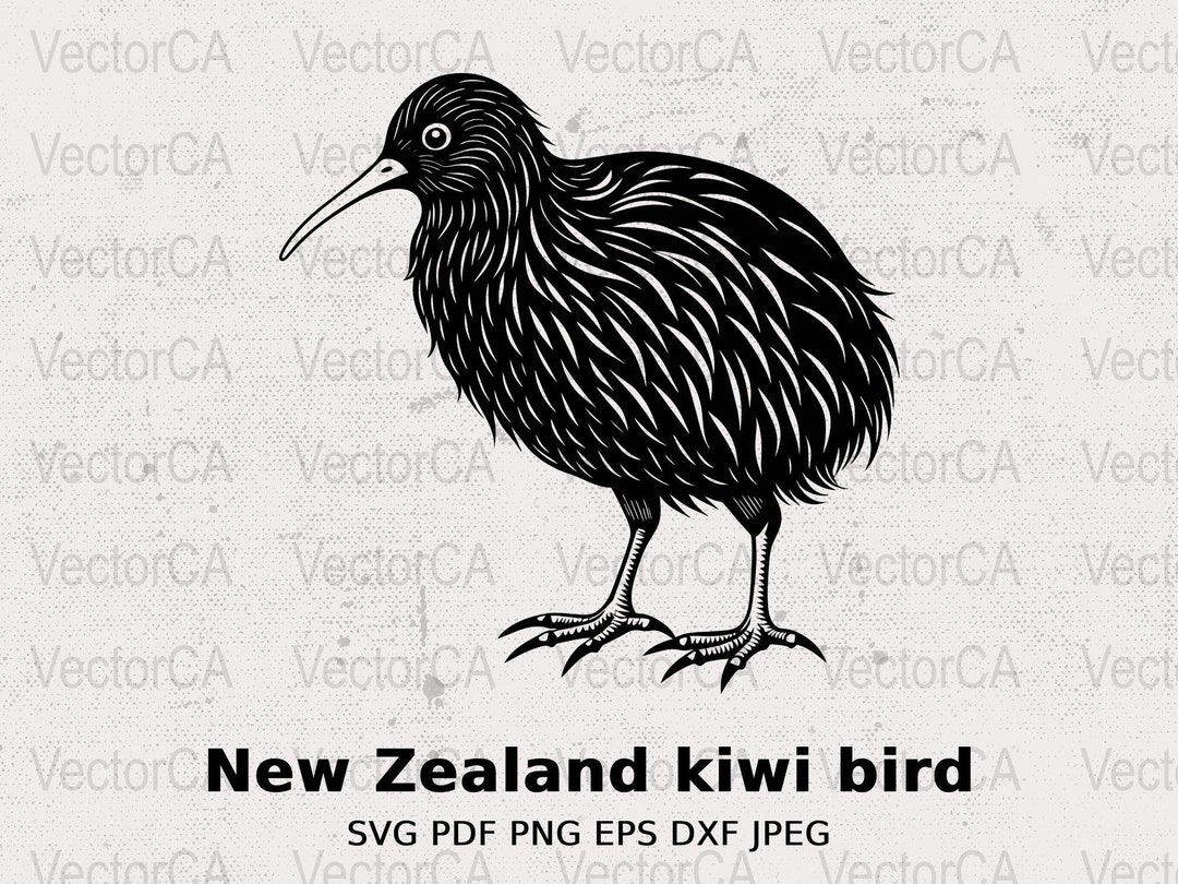 New Zealand Kiwi Bird SVG, Cricut Ready, Instant Digital Download ...