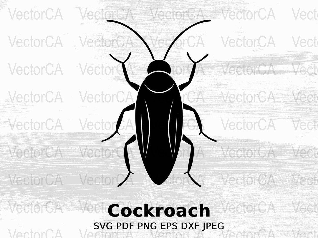 Cockroach SVG File, Unique Insect Digital Art for Scanncut & Cricut ...