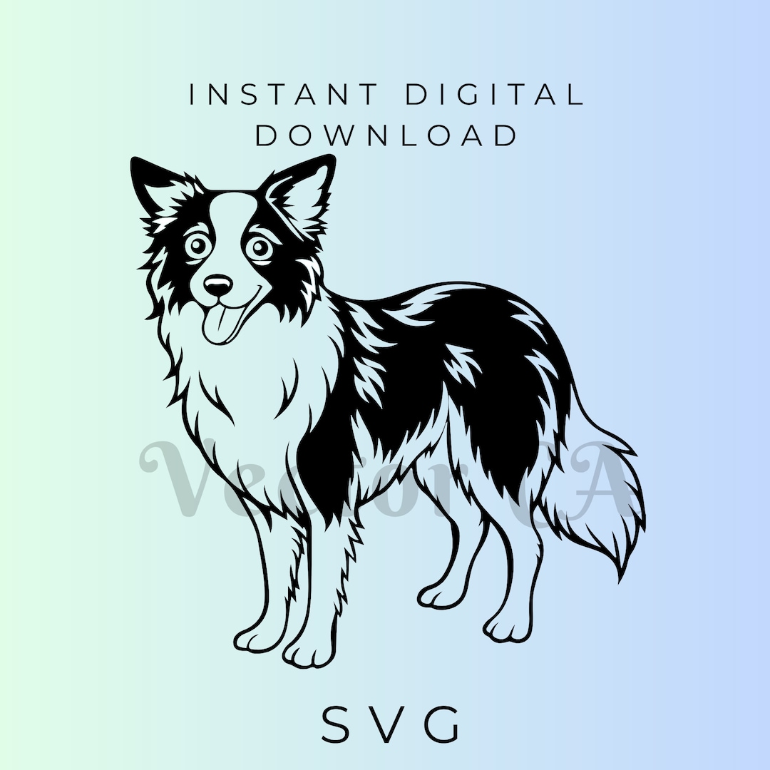 Border Collie Svg-digital Download for Crafting, DIY Projects, & Dog ...