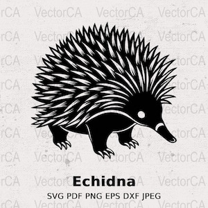 Echidna SVG, Cricut Compatible File, Digital Instant Download, Spiny Porcupine Anteater Cut File ...
