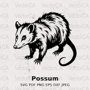 Possum SVG Digital Download, Cricut File, Silhouette Image, Instant ...