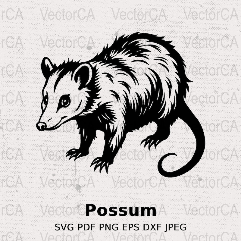 Possum Clipart - Etsy