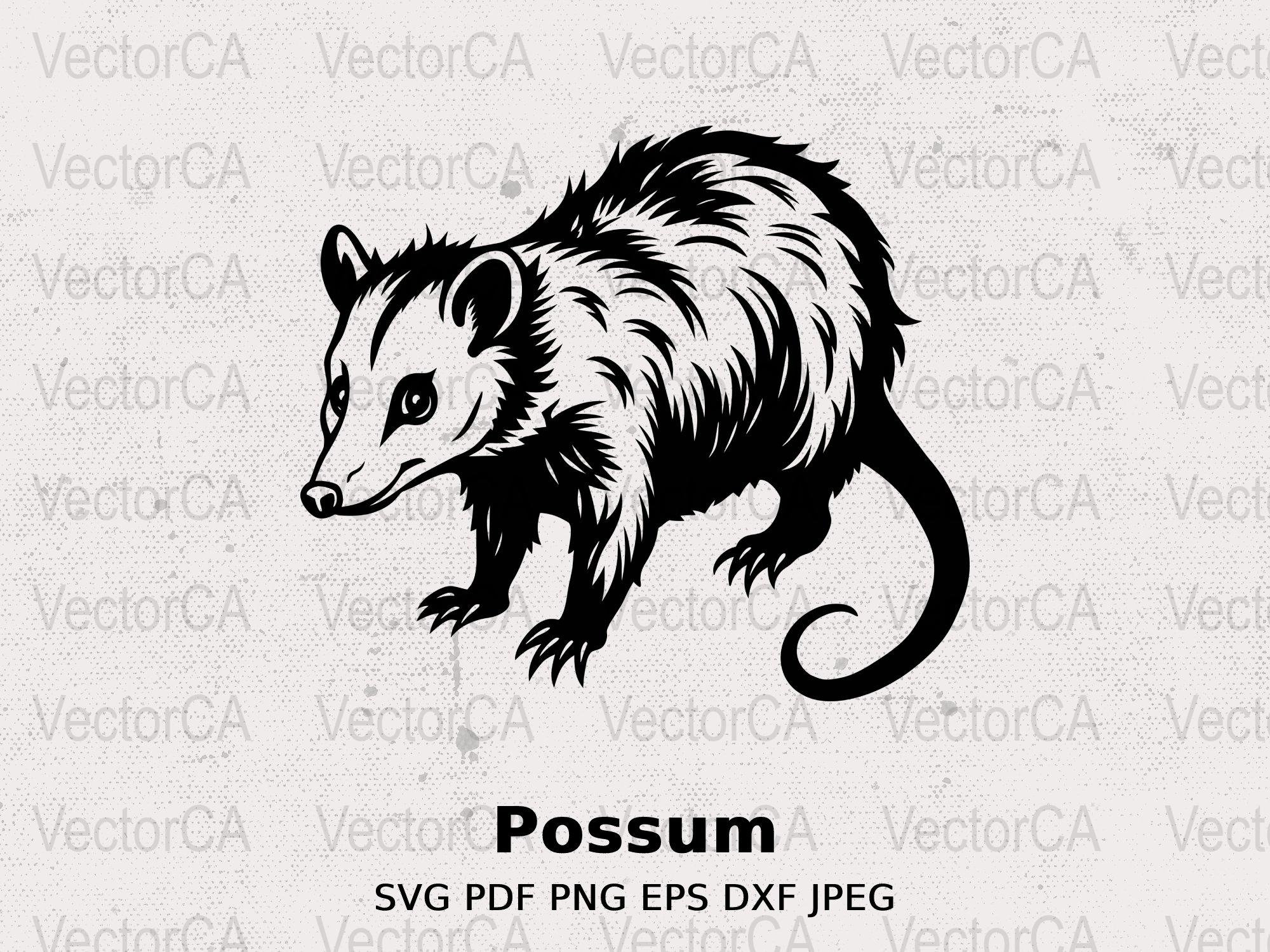 Possum SVG Digital Download, Cricut File, Silhouette Image, Instant ...