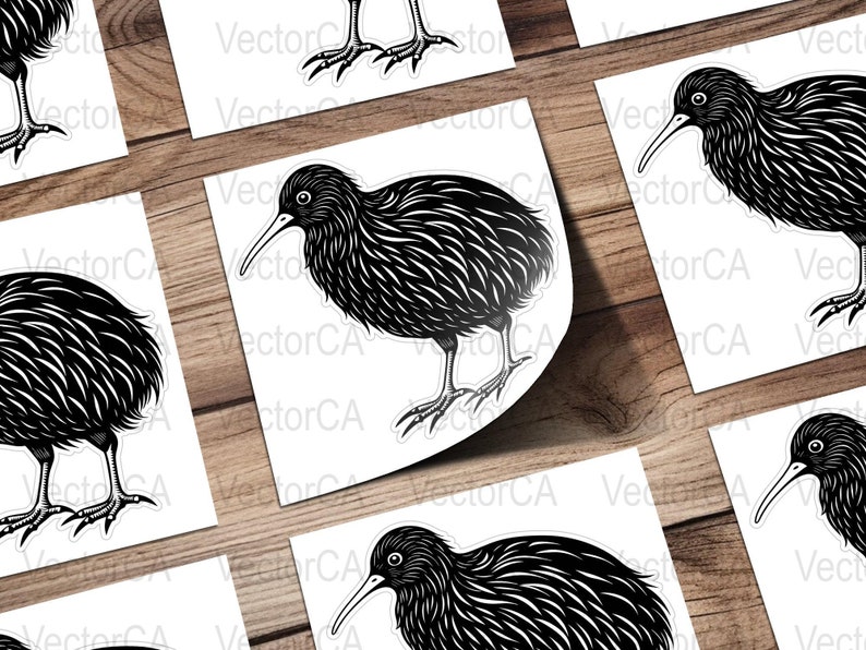 New Zealand Kiwi Bird SVG, Cricut Ready, Instant Digital Download ...