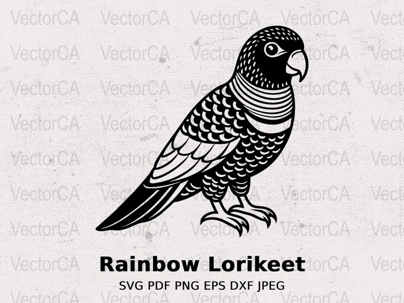 Rainbow Lorikeet SVG, Scanncut, Digital Instant Download PNG ...