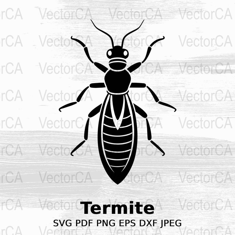 Termite - Etsy