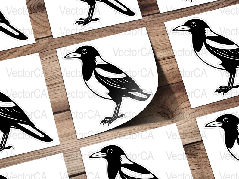 Australian Magpie SVG, Cricut Compatible, Digital Instant Download, Cut ...