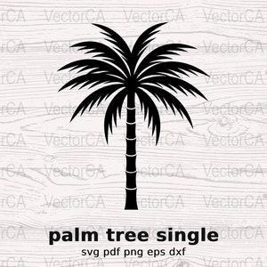 Palme SVG PNG, tropisch digitales Bild für Cricut, Sofort Download ...