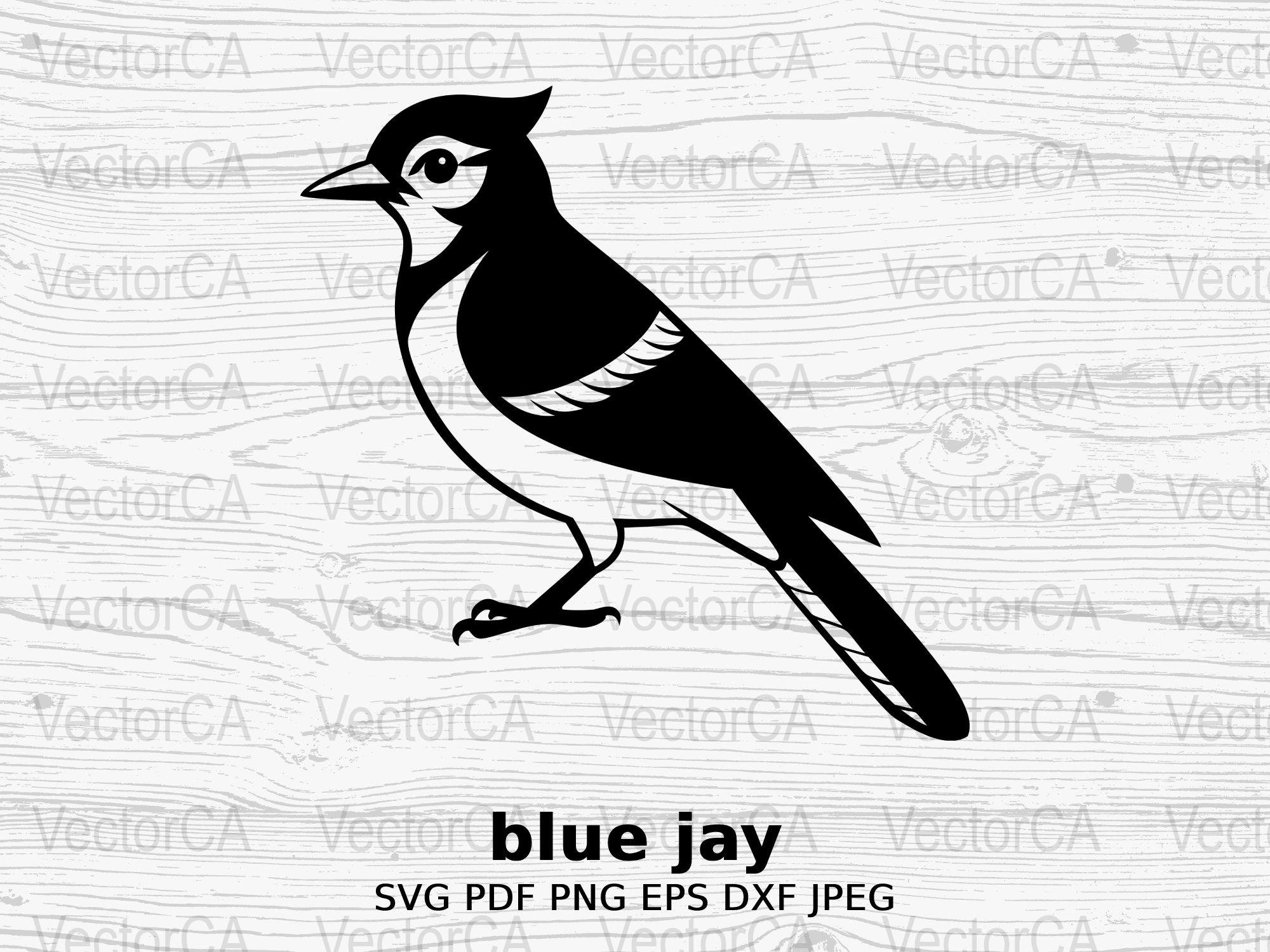 Blue Jay SVG Digital Image PNG, Bird Clipart, Bird Digital Download ...