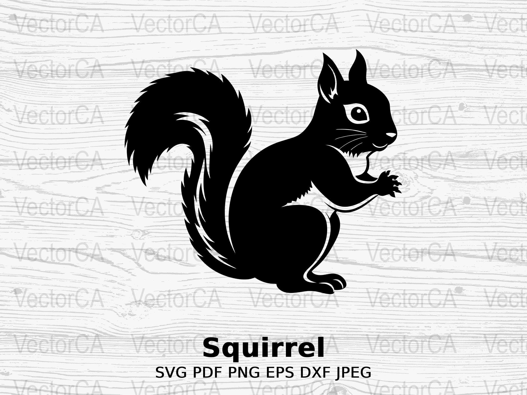 Squirrel SVG Clipart, Digital Squirrel PNG for Crafting, Print ...