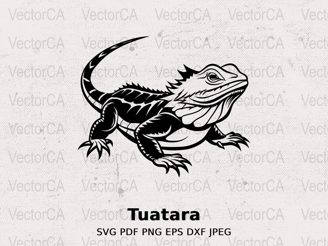 Tuatara SVG File, Cricut Compatible, Digital Instant Download, Vector ...