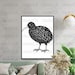 New Zealand Kiwi Bird SVG, Cricut Ready, Instant Digital Download ...