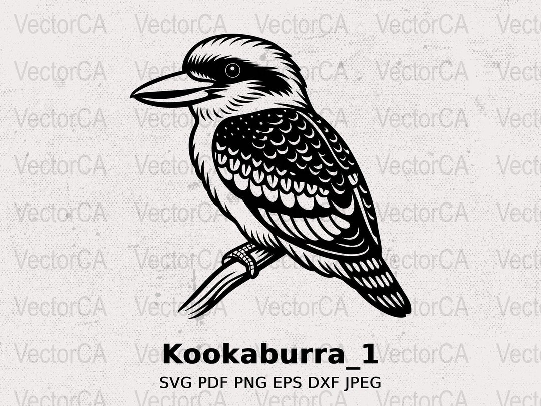 Kookaburra SVG Digital Download, Cricut Compatible Cut File, Instant ...