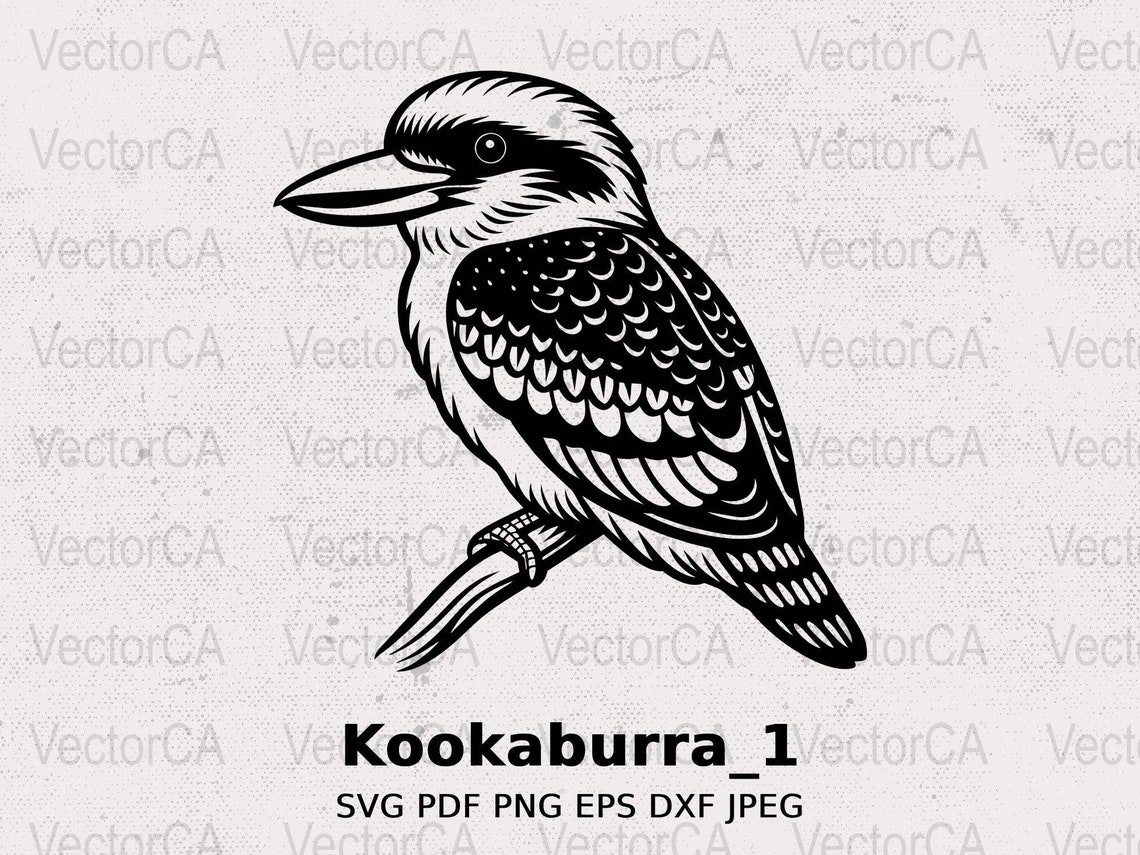 Kookaburra SVG Digital Download, Cricut Compatible Cut File, Instant ...