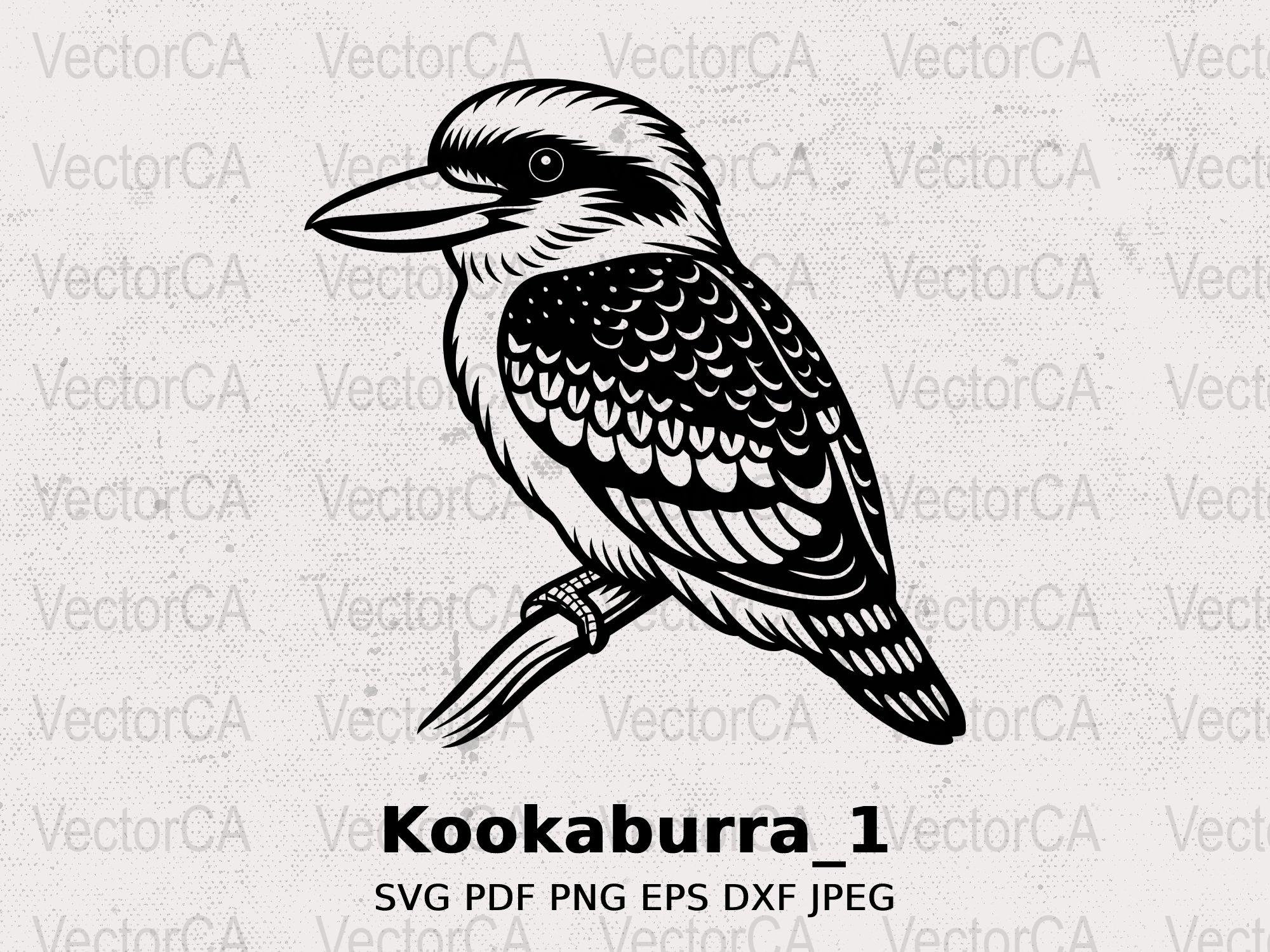 Kookaburra SVG Digital Download, Cricut Compatible Cut File, Instant ...