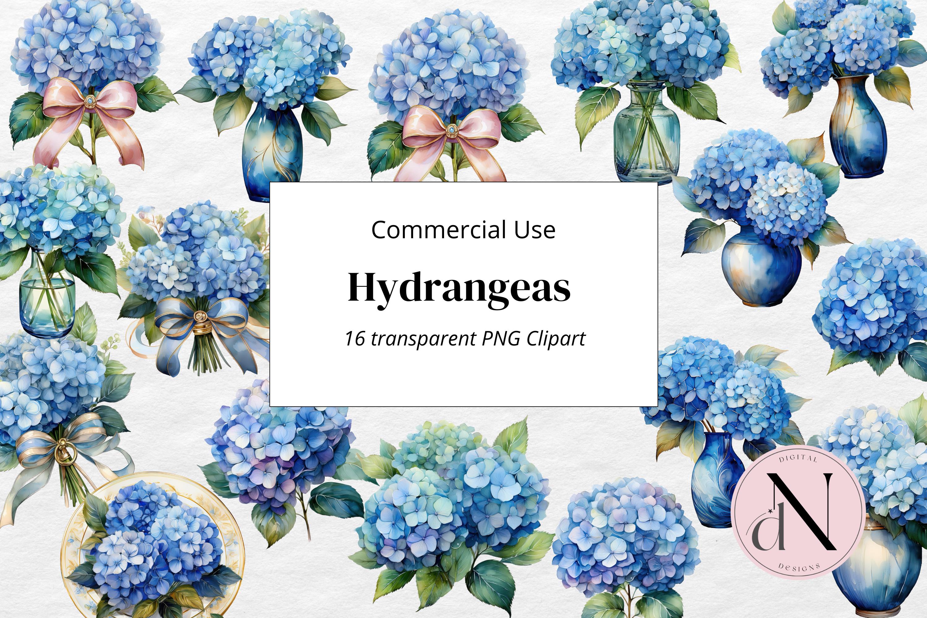 Hydrangea Flower Clipart, Floral Clipart Pack, Botanical Illustration ...