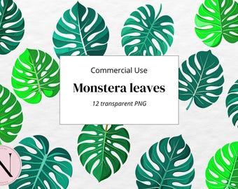 Monstera Leaf Clipart Bundle, Watercolor Greenery PNG Download Painted ...
