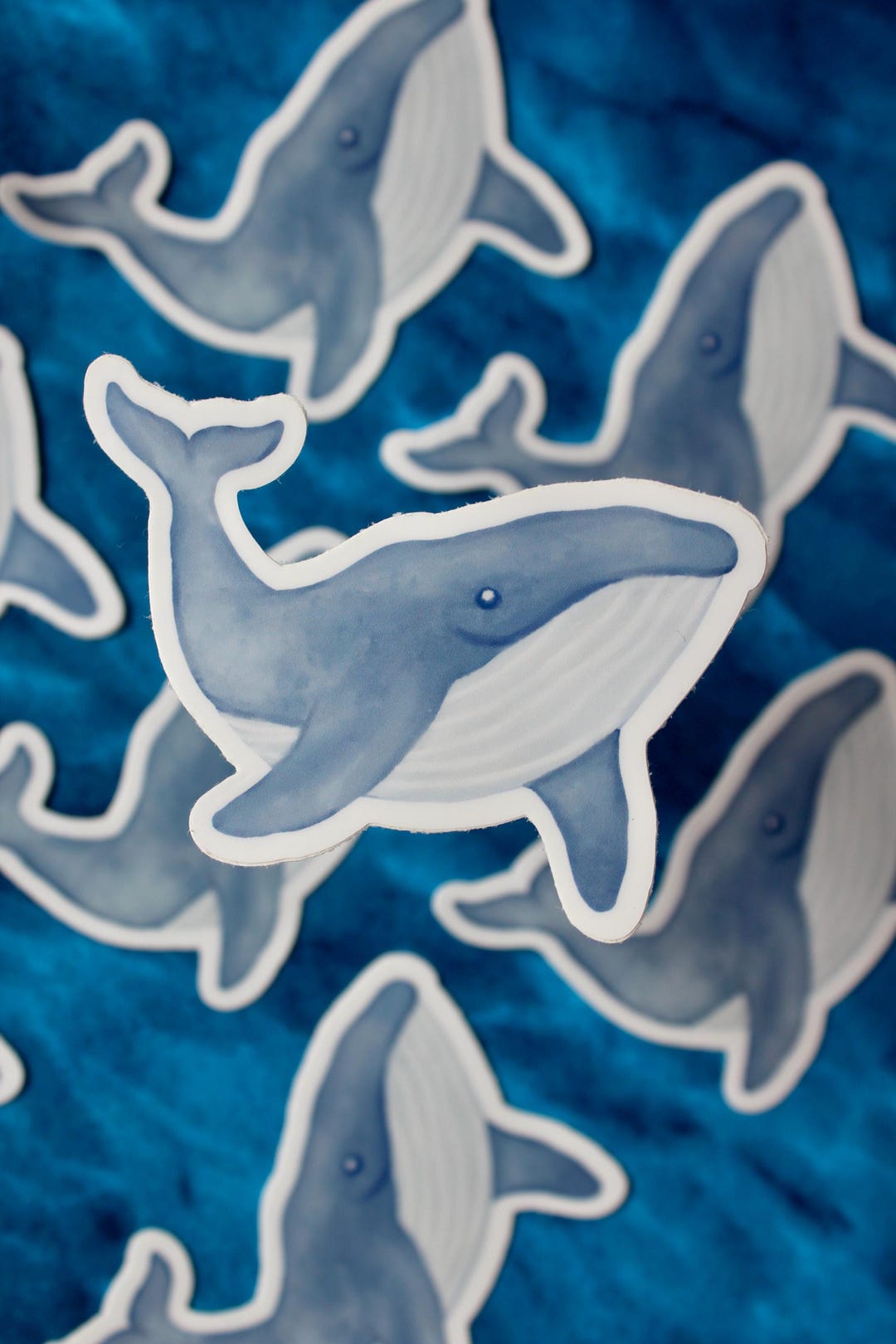 Cute Blue Whale 3” Sticker - Etsy