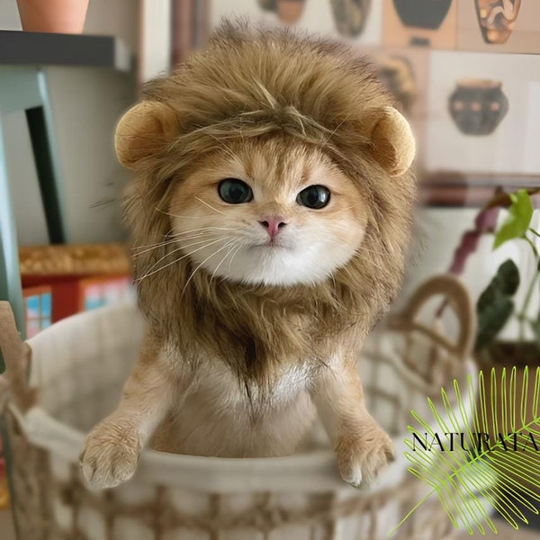 Costumes for Cats - Etsy