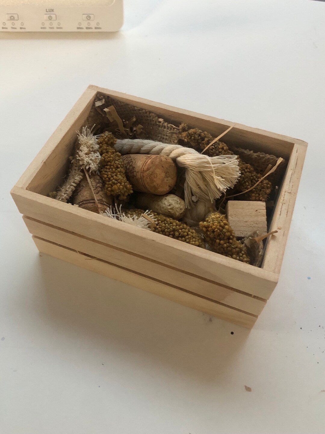 Hand Made Mini Forage Box for Parrots - Etsy
