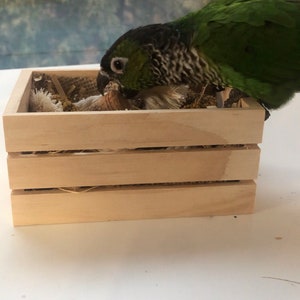 Hand Made Mini Forage Box for Parrots - Etsy