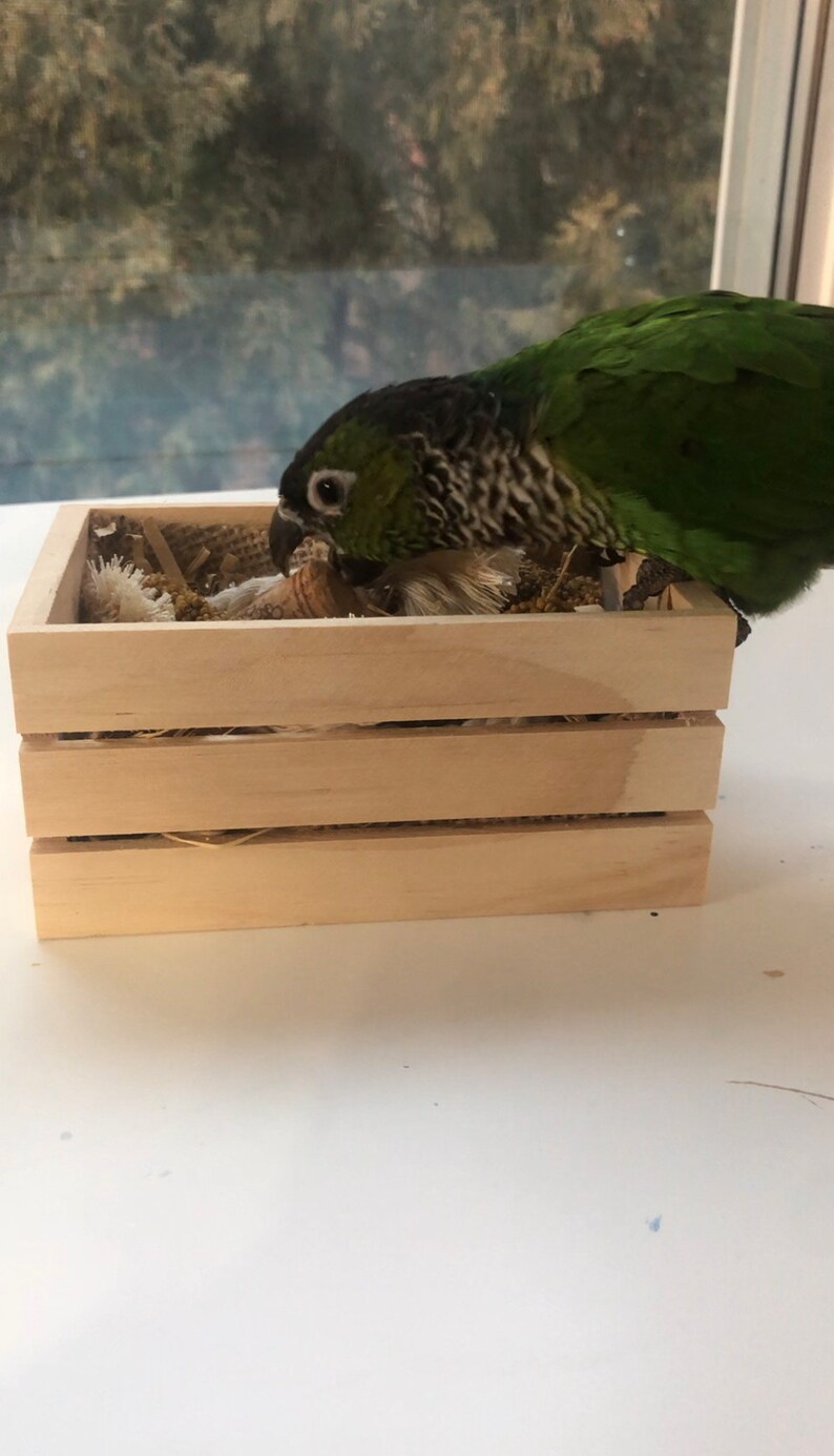 Hand Made Mini Forage Box for Parrots - Etsy