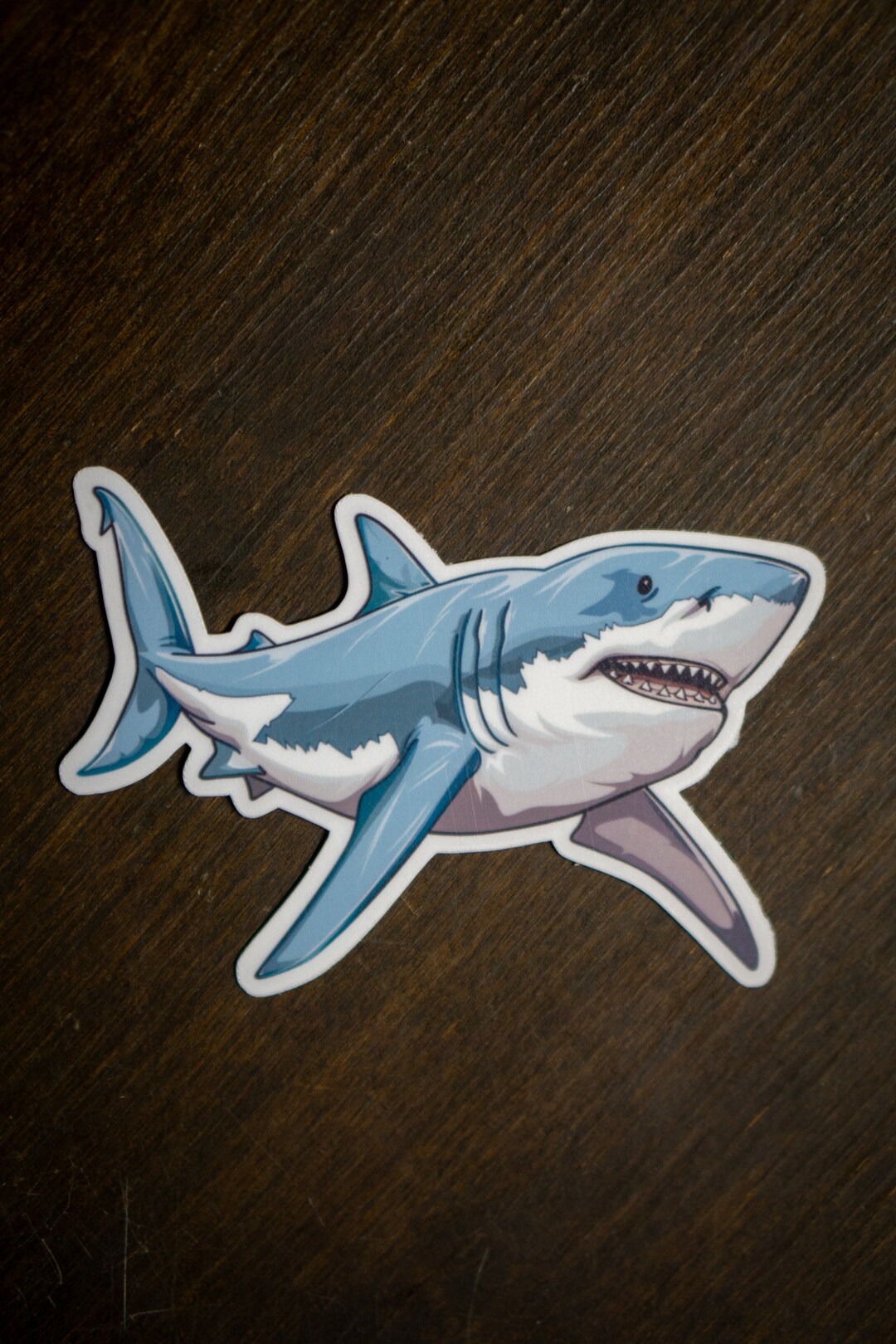 Cute Shark Sticker Vinyl Sticker - Etsy