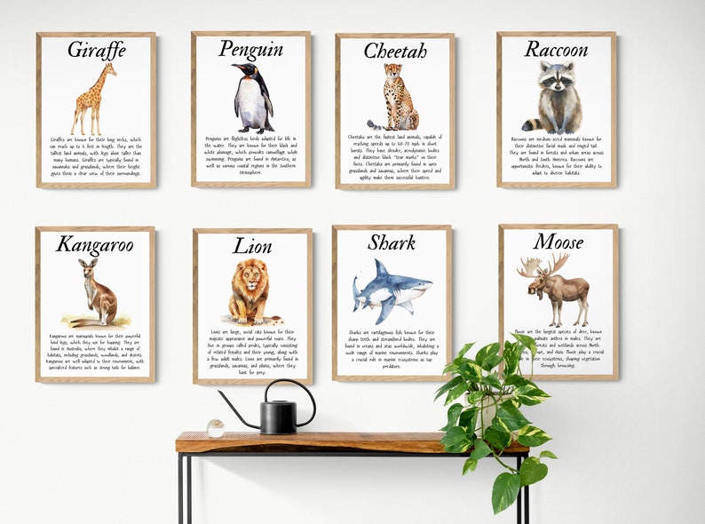 30 Educational Posters, Wild Animal Drawing, Watercolor Drawing ...