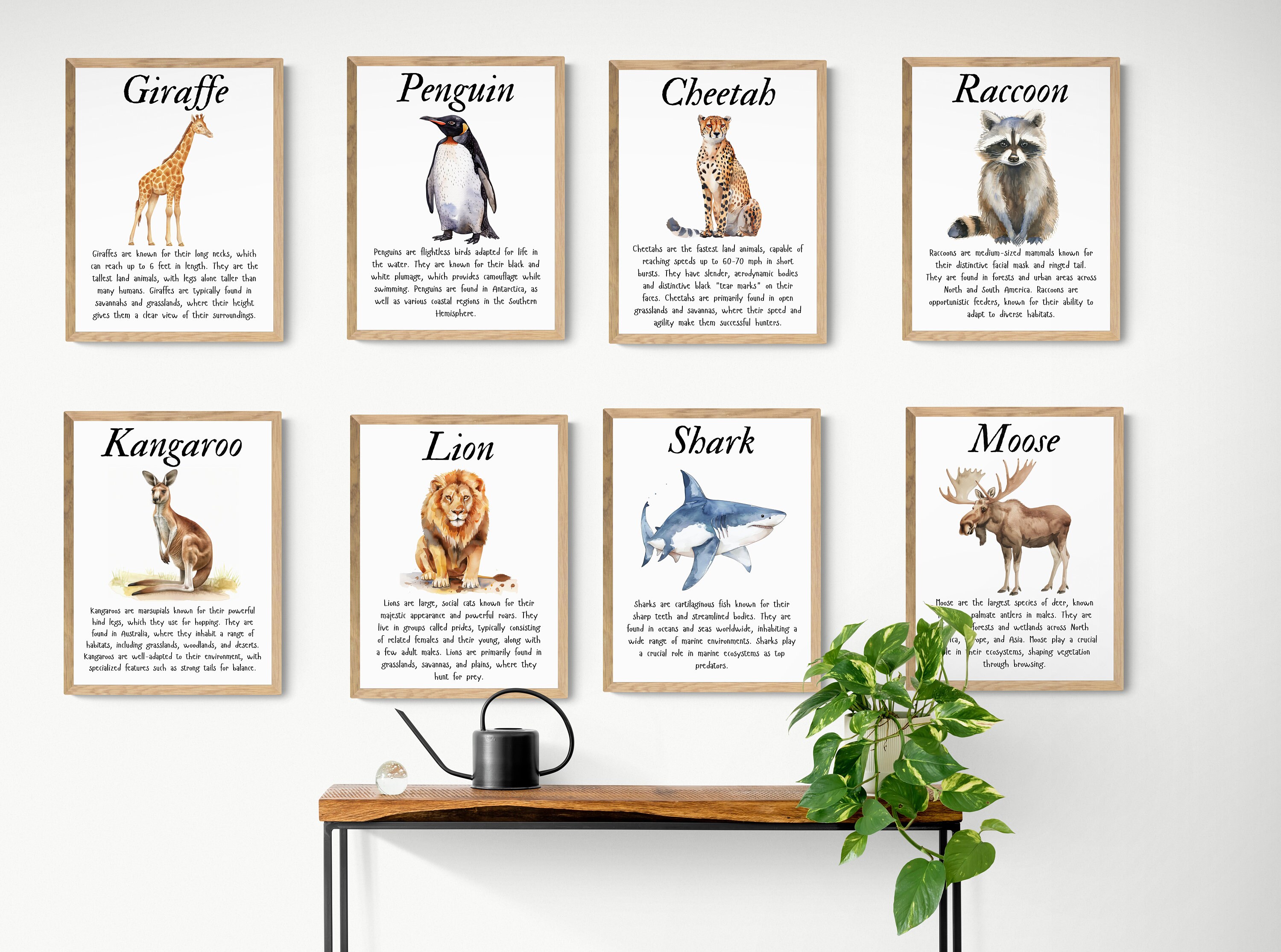 30 Educational Posters, Wild Animal Drawing, Watercolor Drawing ...
